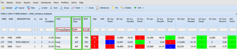 Encore Analytics Empower™: Filtering Project Data Interactively