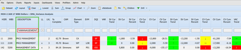 Encore Analytics Empower™: Filtering Project Data Interactively