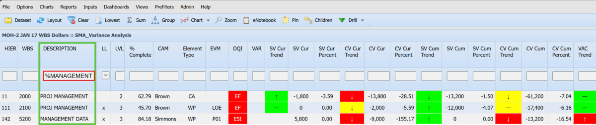 Encore Analytics Empower™: Filtering Project Data Interactively