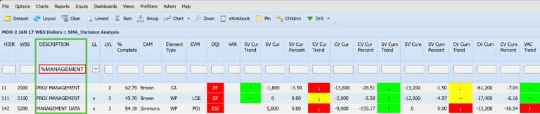 Encore Analytics Empower™: Filtering Project Data Interactively